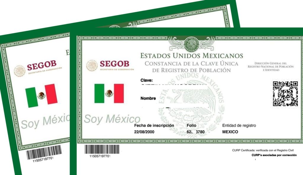 ¿La CURP sirve como documento de identidad oficial? - El Mundo MX